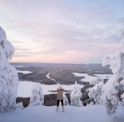 N-Clean Oy - Avoimet työpaikat ja rekrytointi - Duunitori