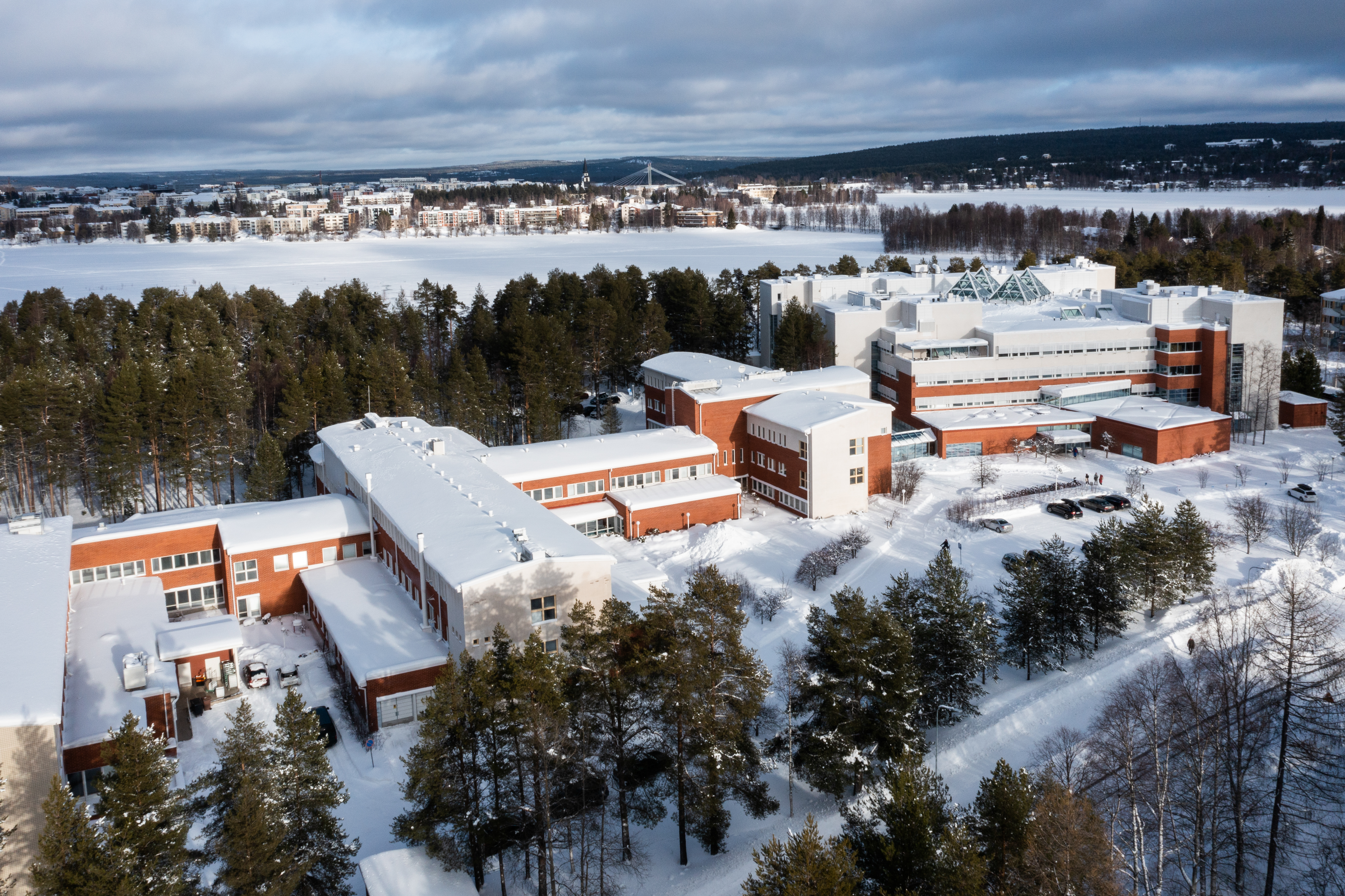 Suunnittelupäällikkö - Lapin yliopisto - Työpaikat - Duunitori