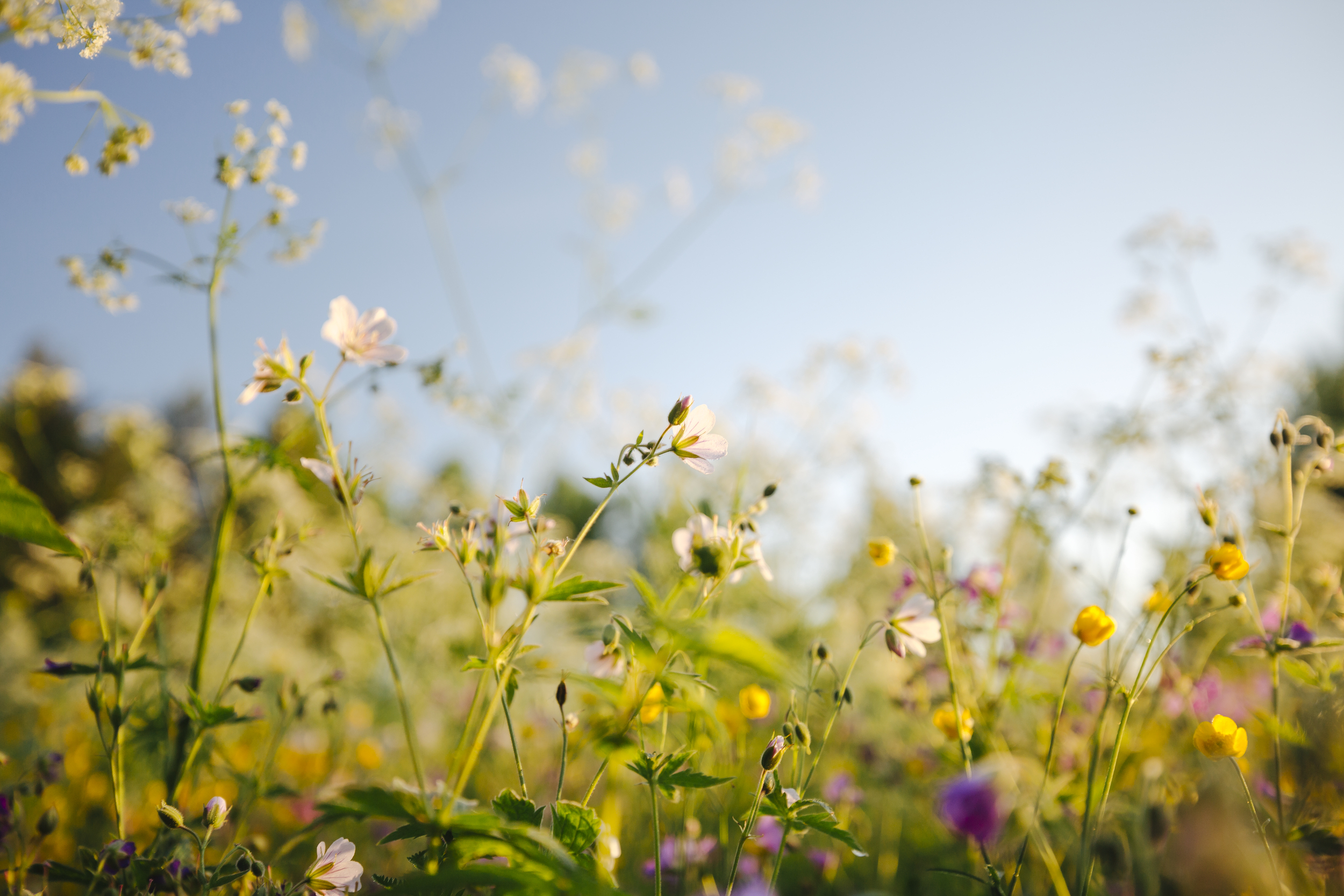 Kesäksi töihin Humanaan - Humana - Työpaikat - Duunitori