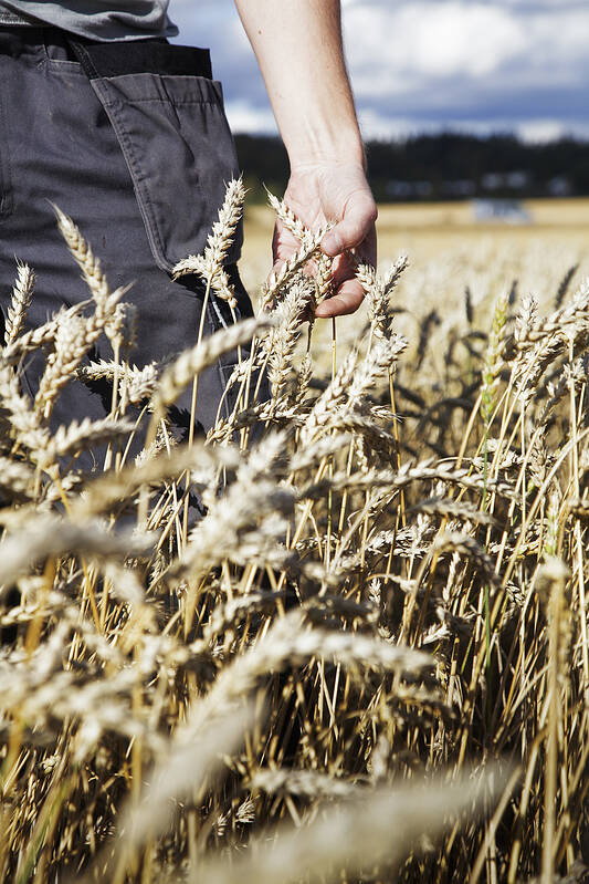 Laborantti - Hankkija Oy - Työpaikat - Duunitori